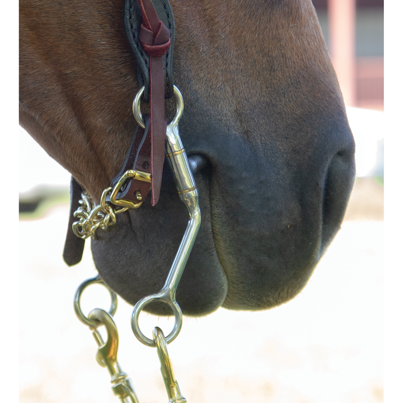 Reinsman Ported Easy Rider Bit – Marsh Carney Saddlery