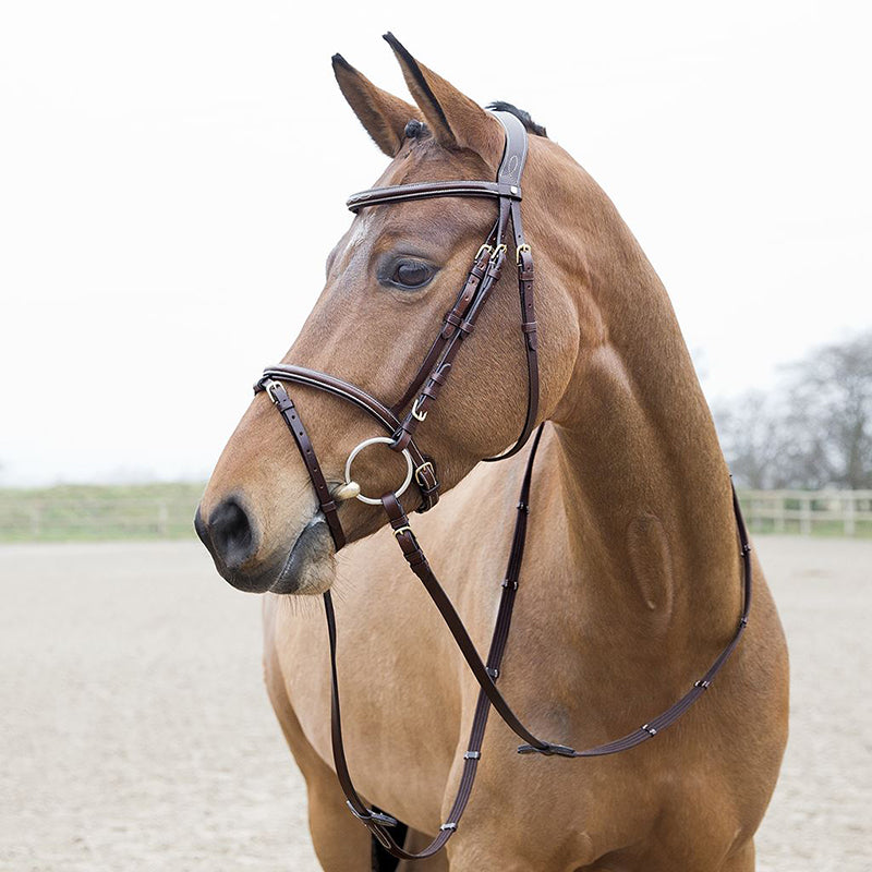 Bridleware - Bridles – Marsh Carney Saddlery