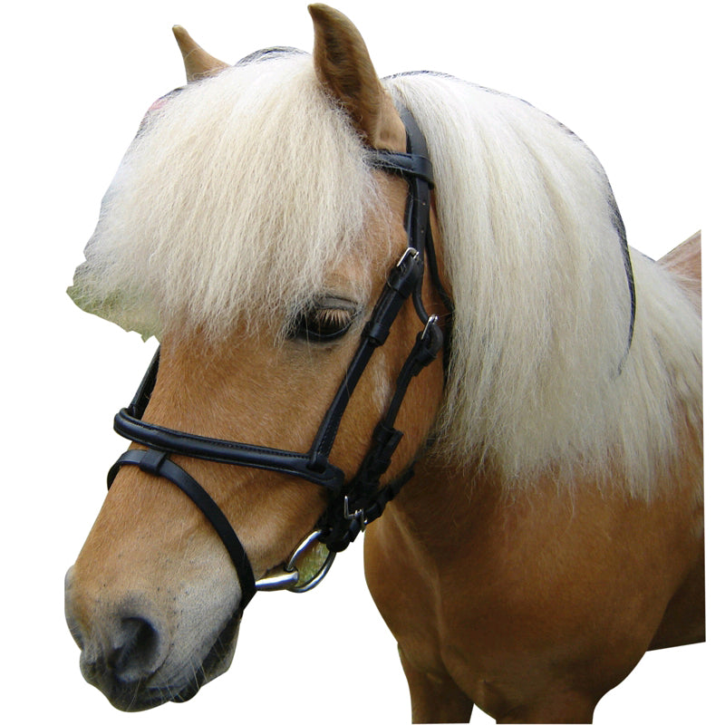 Bridleware - Bridles – Marsh Carney Saddlery