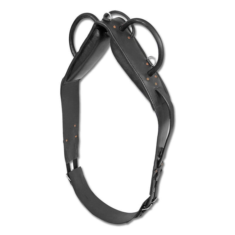 Waldhausen Vaulting & Lunging Surcingle – Marsh Carney Saddlery